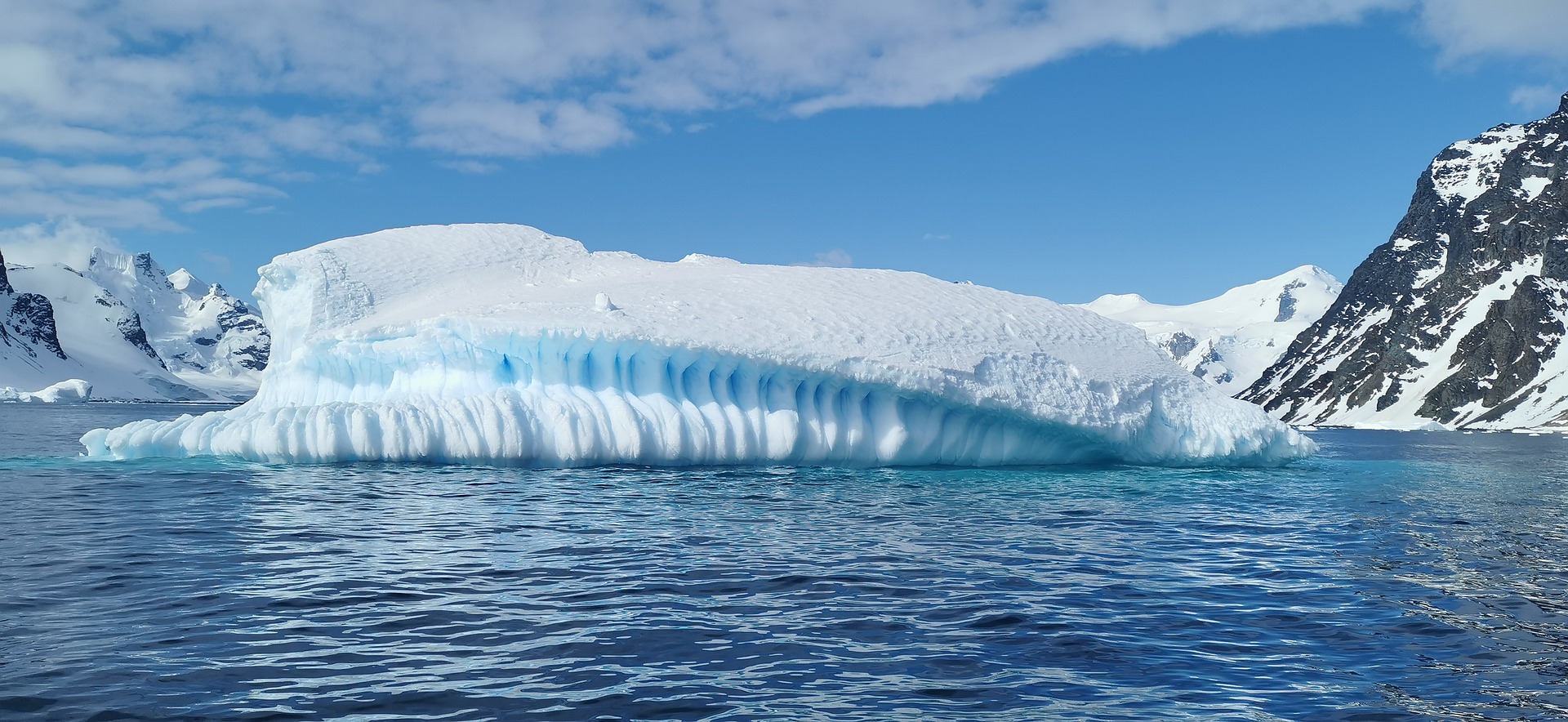 Exploring Antarctica at Center for Puppetry Arts